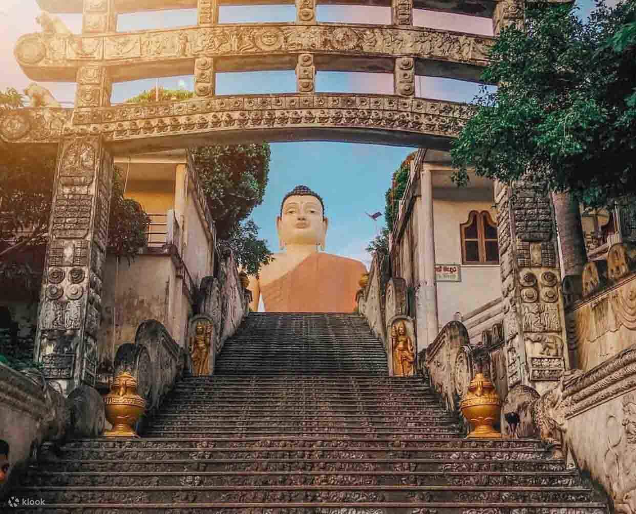 Safari Bot Sungai Madu, Terapi Ikan & Lawatan ke Tapak Suci Buddha ...