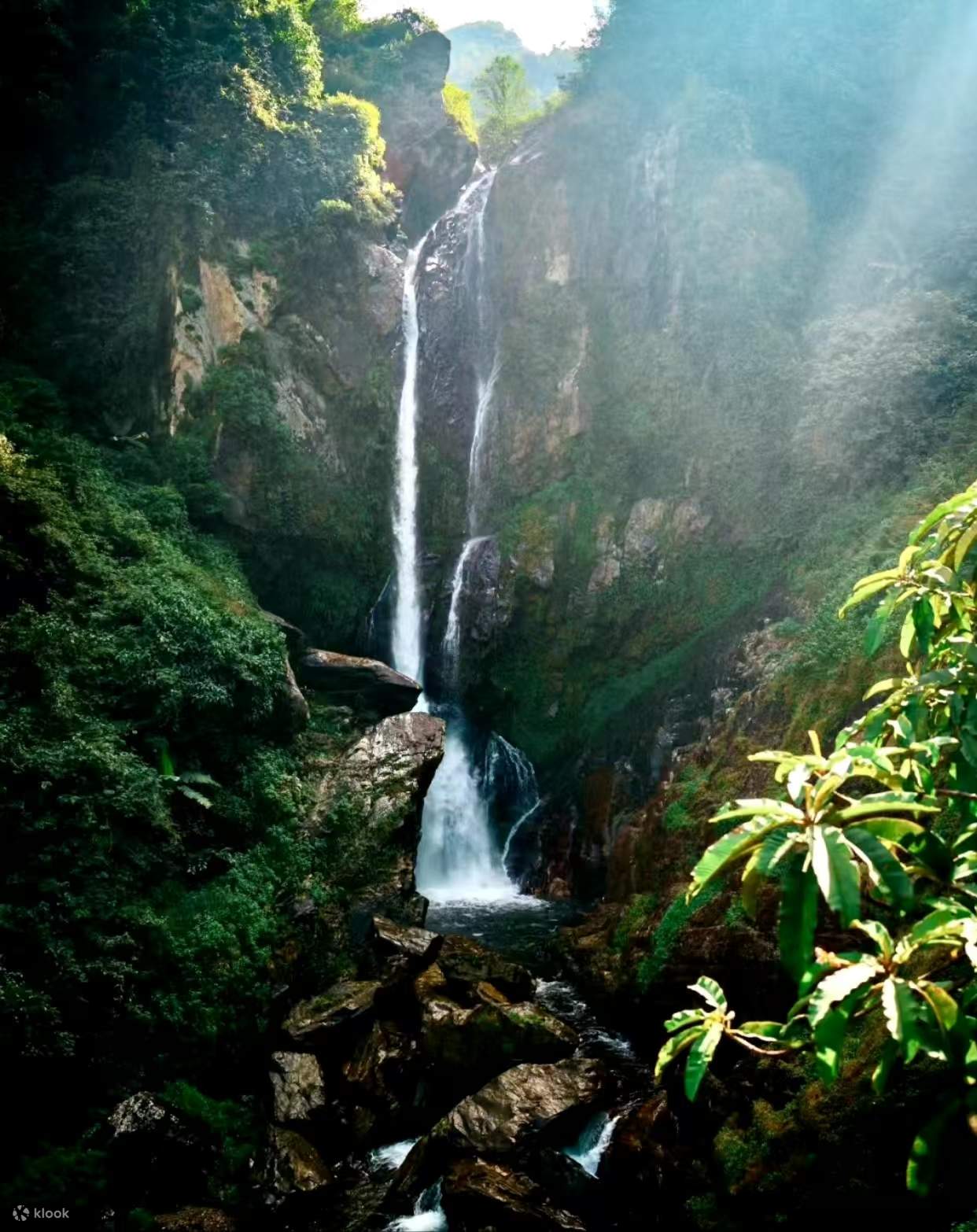 3 days and 2 nights in Ailao Mountain, Kunming, Yunnan (Magnificent ...