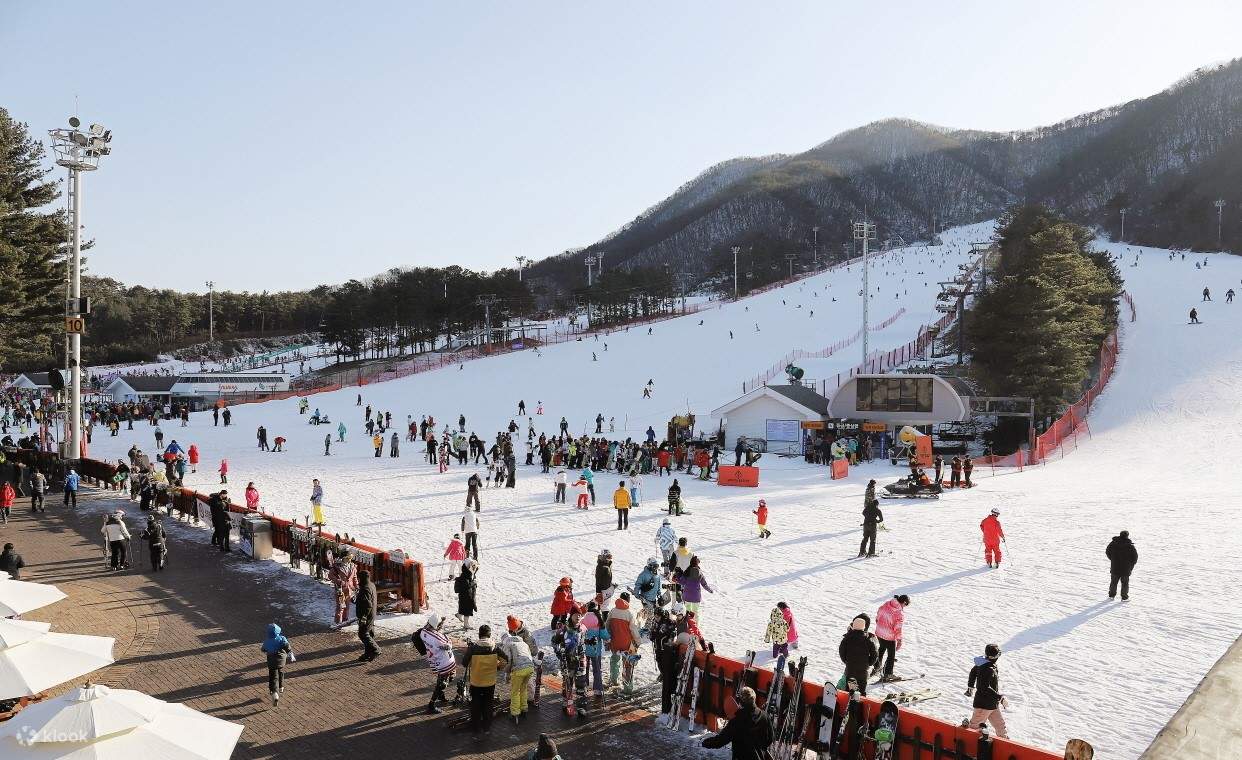 Jisan Forest Ski Resort and Winter Sports Experience - Klook Philippines