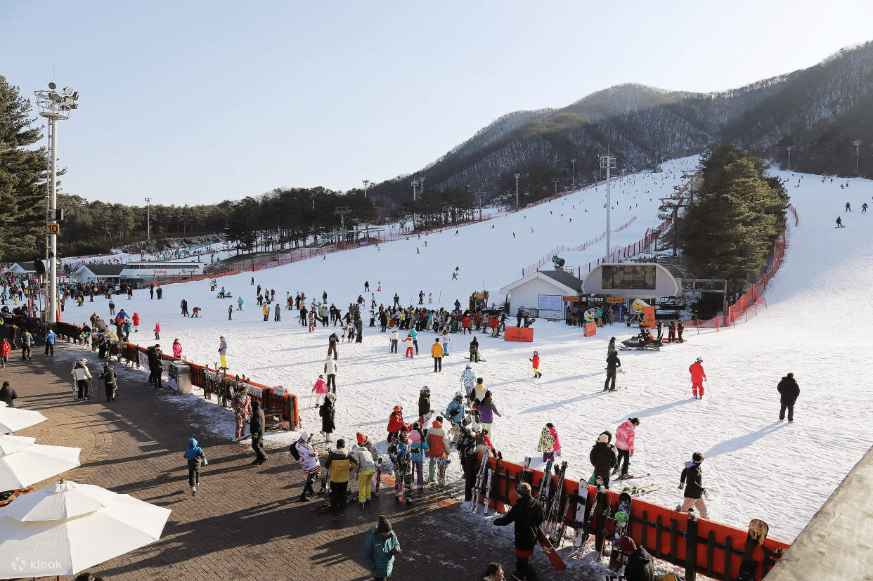 Jisan Forest, Yangji Pine, Konjiam, Bears Town Ski Resort Sewa Mobil ...