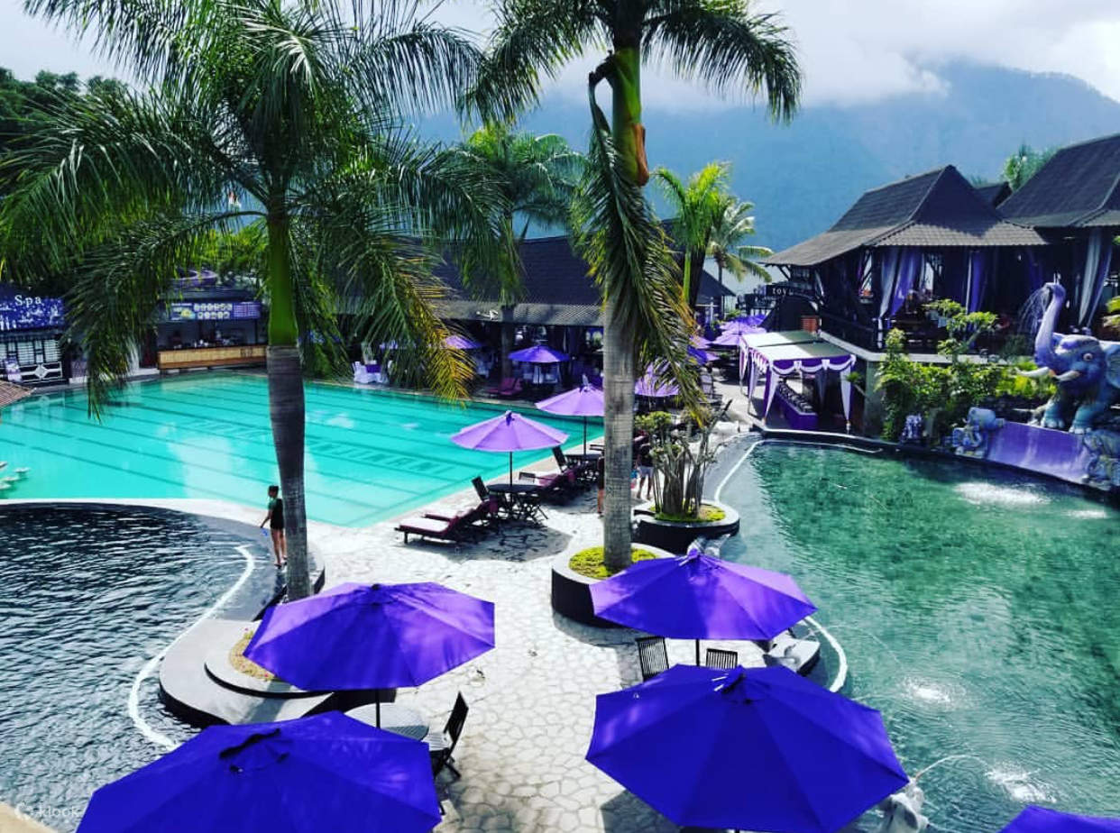 Terunyan Dorf und Kintamani Tagestour in Bali - Klook, Vereinigte Staaten