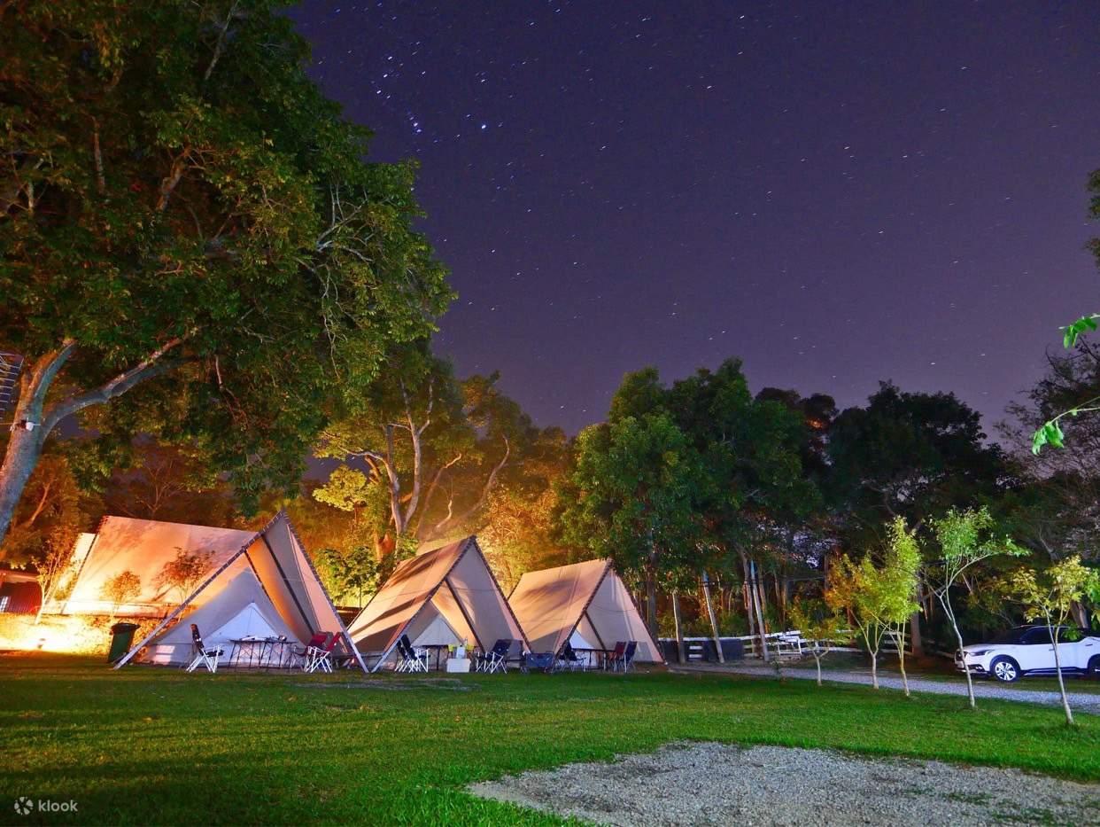 Miaoli: Glamping-Erlebnis im Glockenzelt auf dem Whispering Tree Campground - Klook, Vereinigte ...