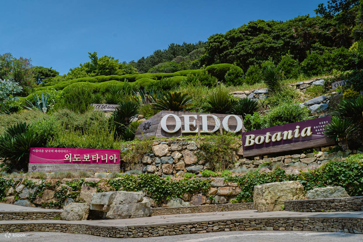 Oedo Botania + Geoje Panorama + Haegeumgang + Hill of Wind Tour - Klook