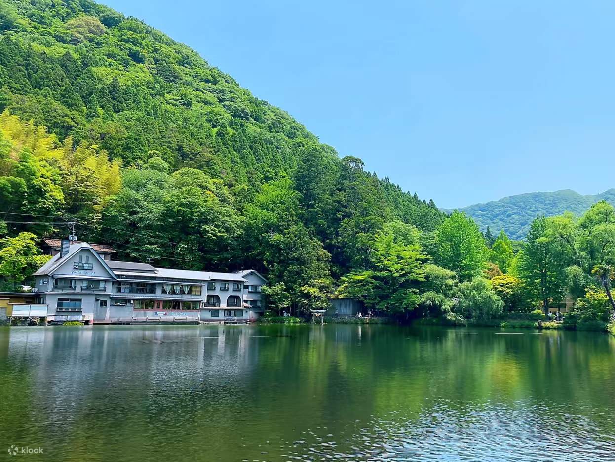 Nyoirinji Temple & Mount Yufu & Yufuin Temple & Kinrin Lake & Hell Tour ...