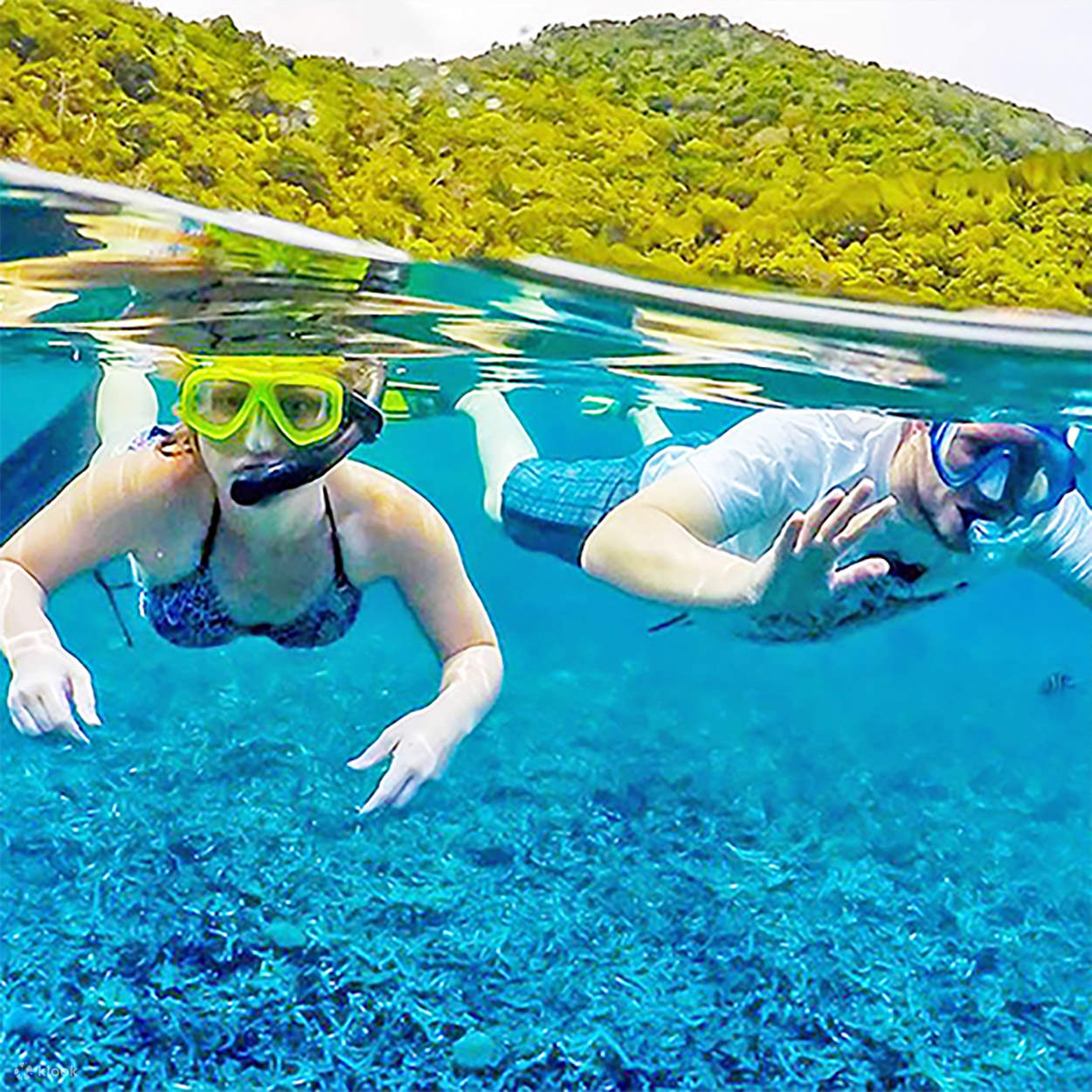 Pig Island VIP - Klook