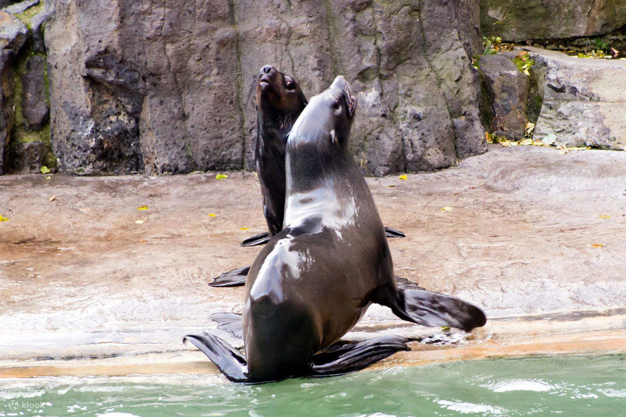 Prague River Cruise Tour with Prague Zoo Ticket - Klook Philippines