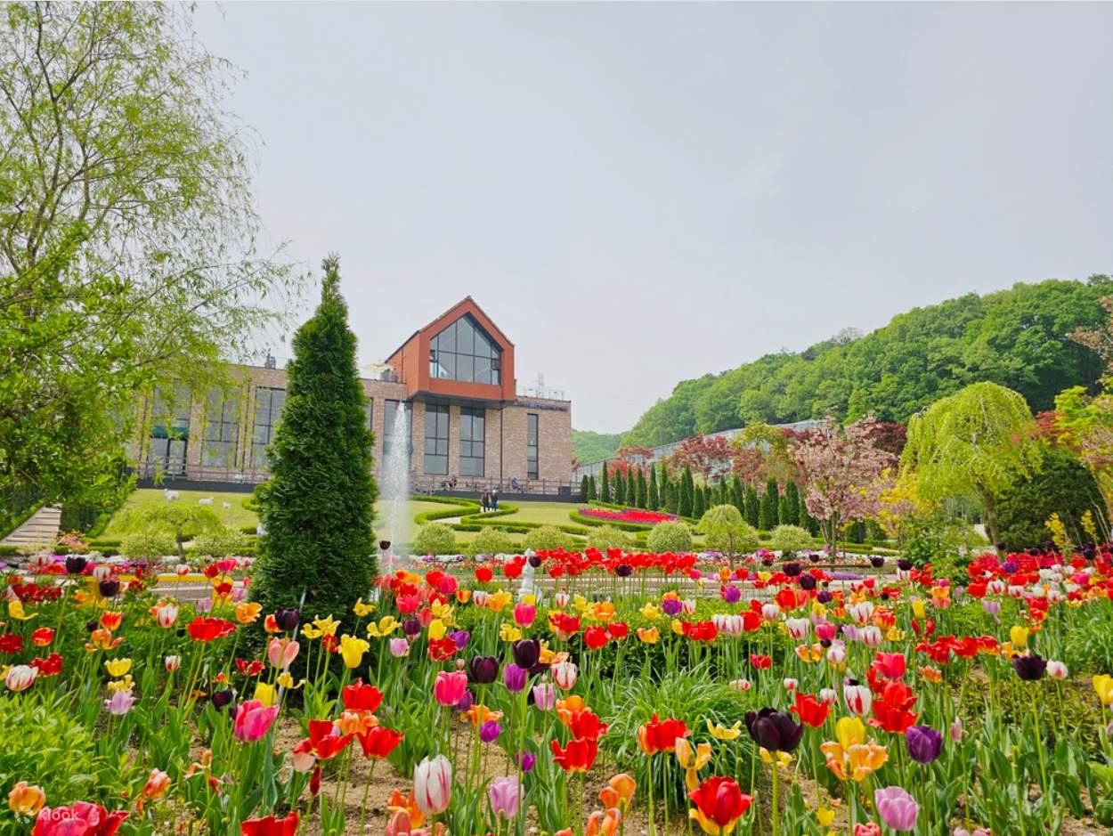 Arboretum Irwol&Ludensia&Perkampungan Rakyat Korea&Perpustakaan ...