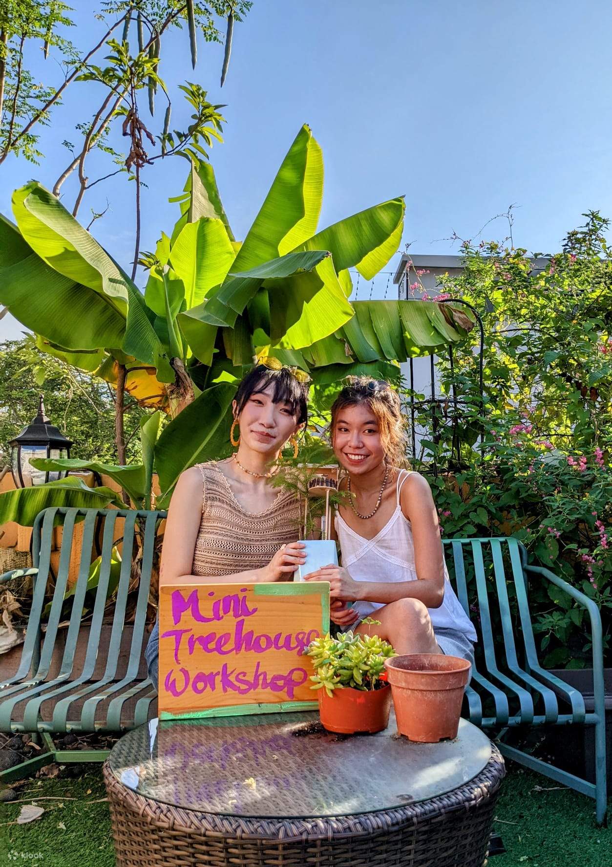 Mini Zen Garden and Mini Treehouse Workshop - Klook India