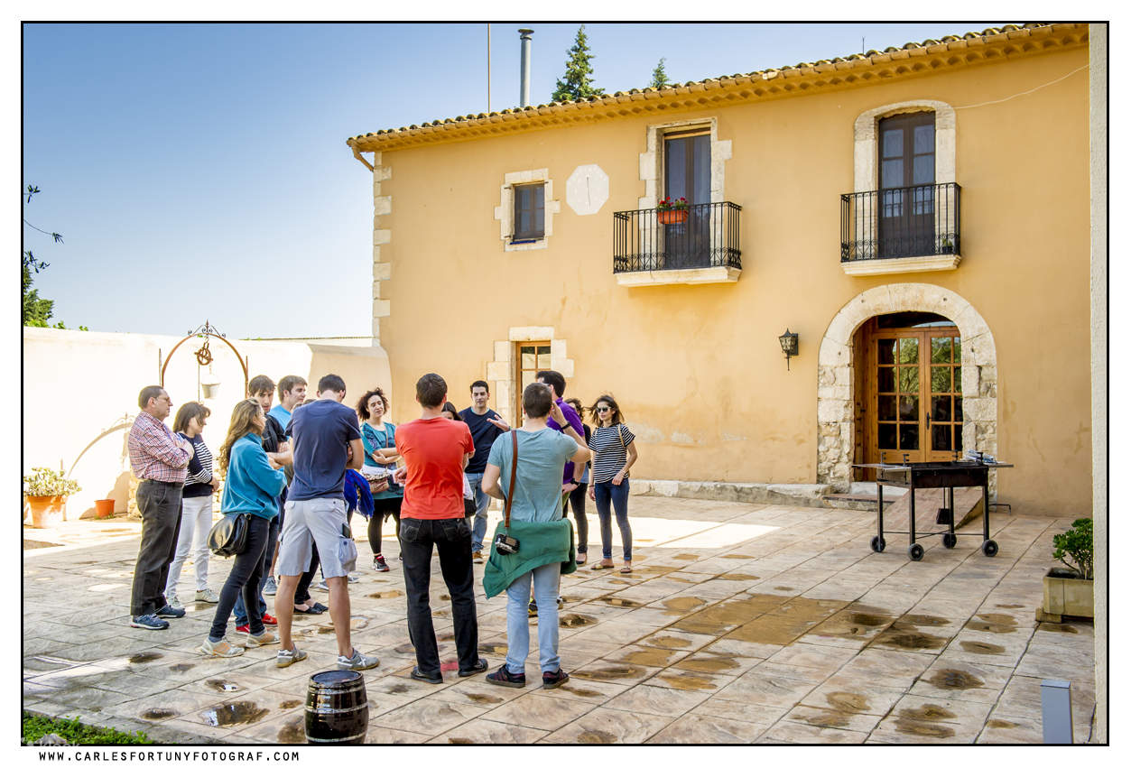 Create your own Cava workshop Penedes wine region Artcava - Klook