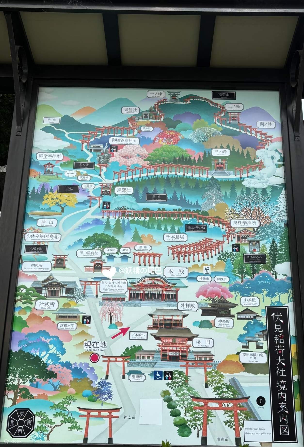Kyoto one-day private tour (1~4 people) - Klook United States