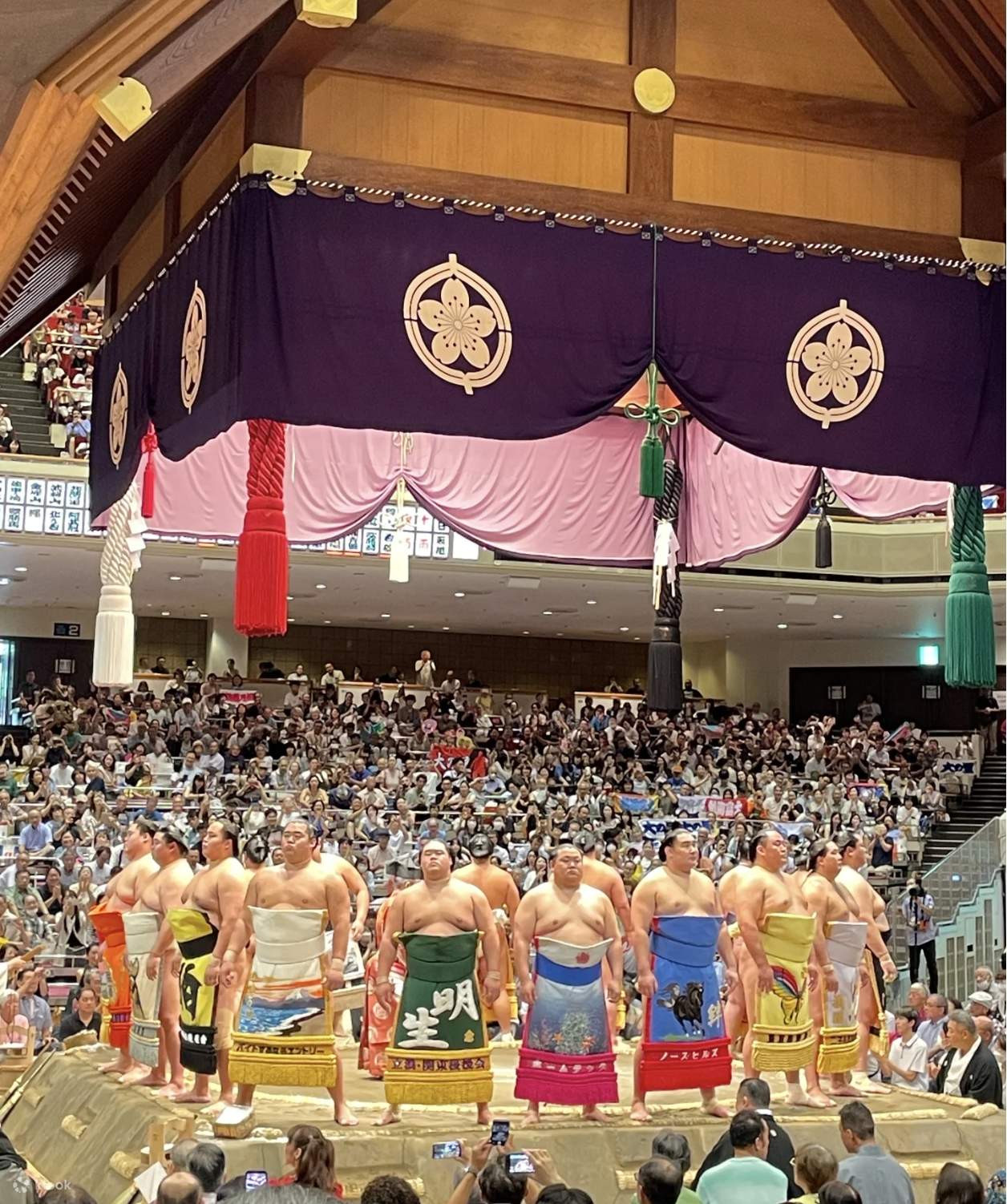 Osaka Grand Sumo Tournament Viewing Experience (with commentary ...