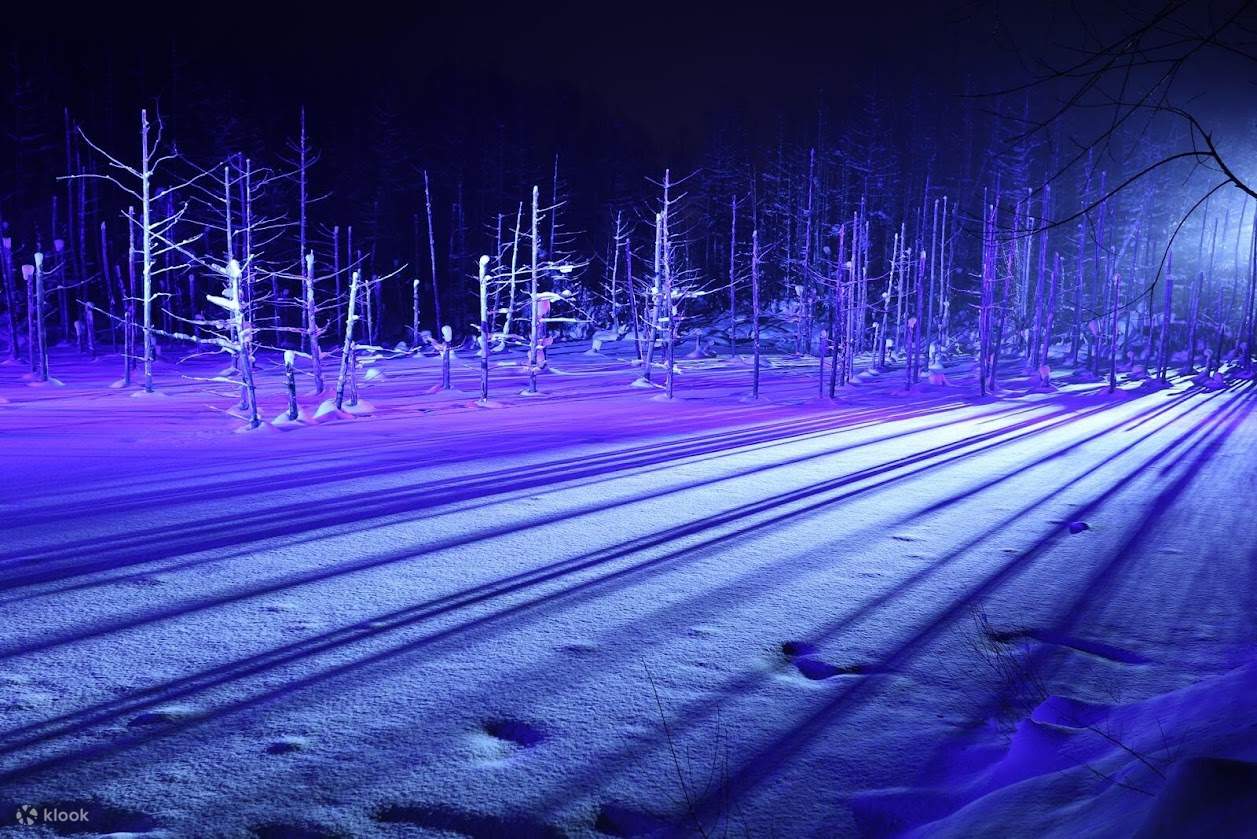 Hokkaido | Tur Sehari Iluminasi Kolam Biru Musim Dingin Biei & Air ...