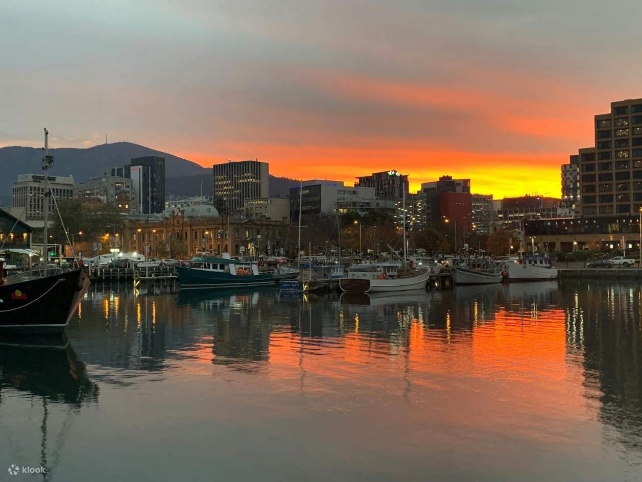 6-Day Tasmania Unveiled Tour - Klook