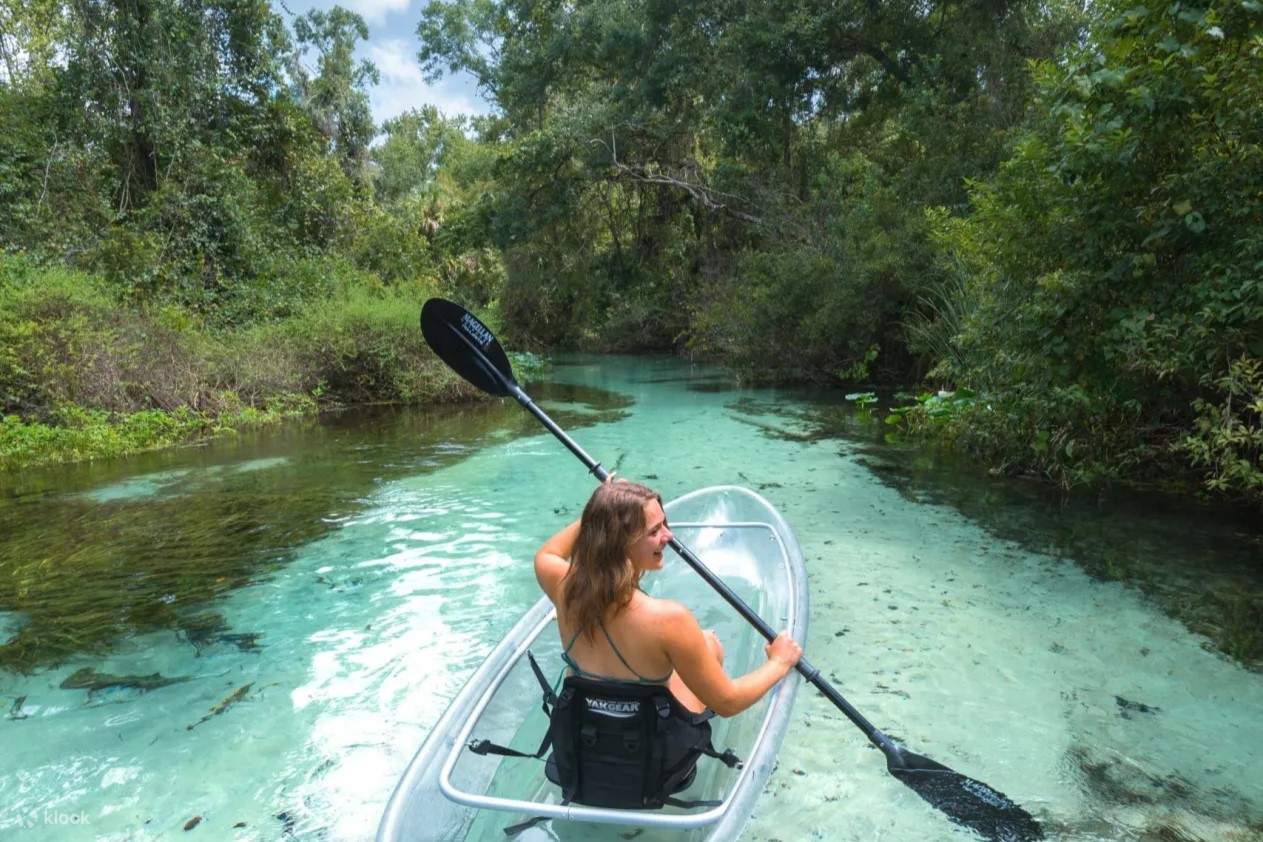 Rock Springs 2-Hour Glass Bottom Guided Kayak Eco Tour - Klook Malaysia