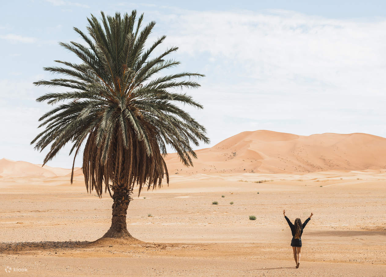 4-Days Private Merzouga Desert Tour To Fez From Marrakech - Klook Singapore