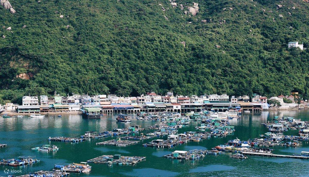 Lawatan Bot Sampan & Pesta Makanan Laut di Pulau Lamma | Hong Kong ...
