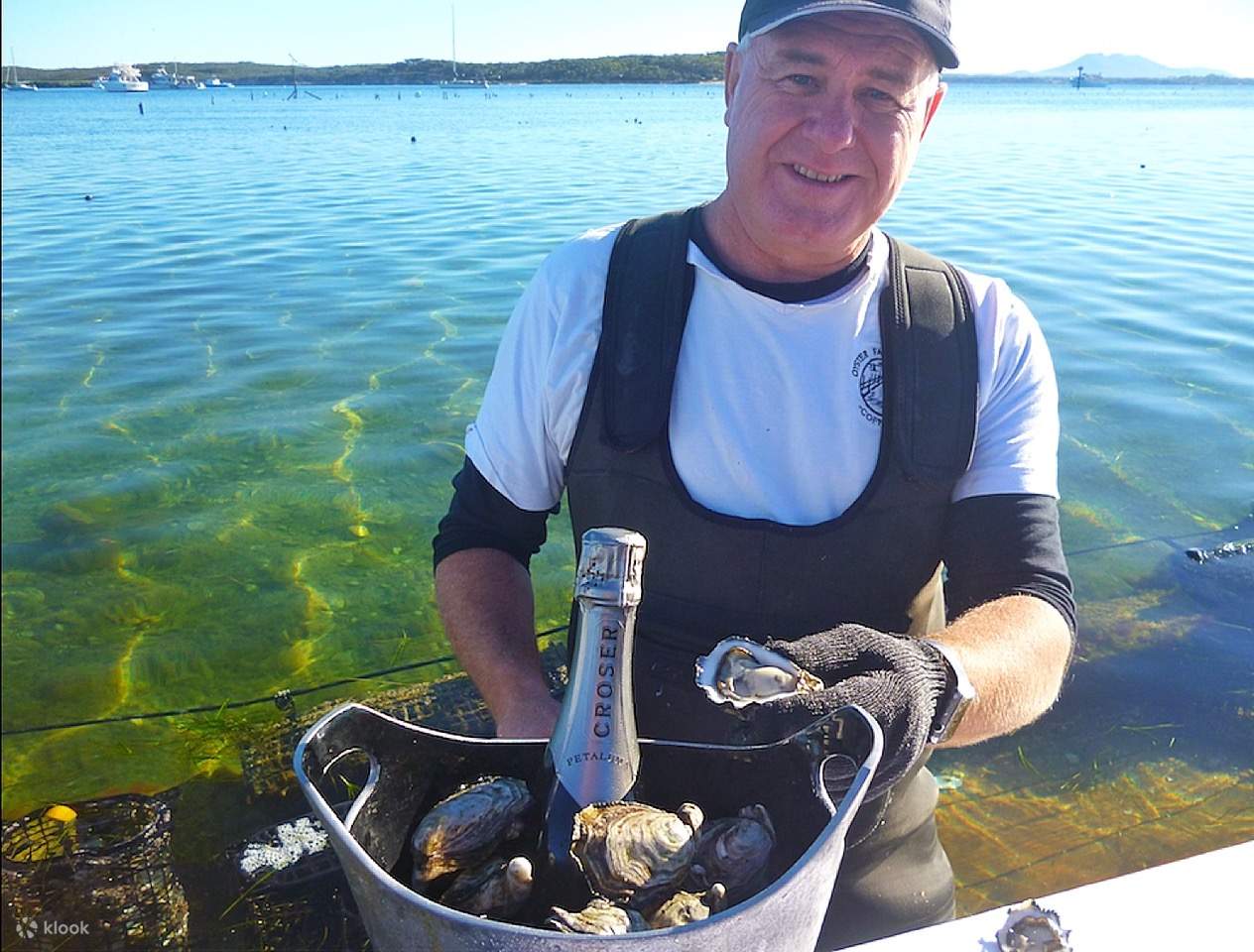 Oyster Farm Tours from Port Lincoln, Australia - Klook