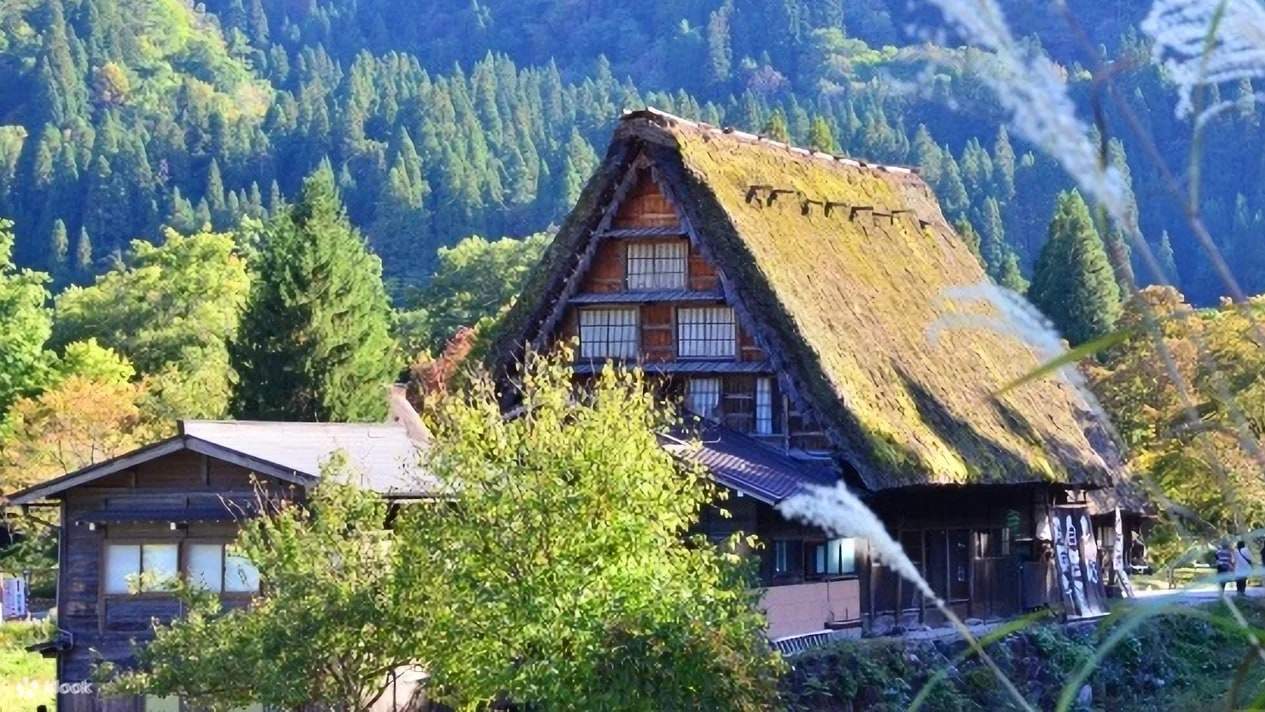 Shirakawago & Hida Takayama & Gujo Hachiman One Day Tour from Nagoya - Klook