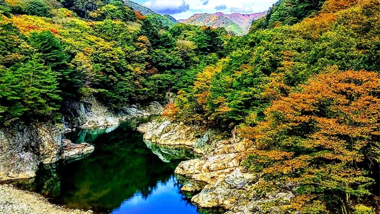 [Autumn Ryuo-kyo Gorge Day Hike] Kinugawa Grand Suspension Bridge ...