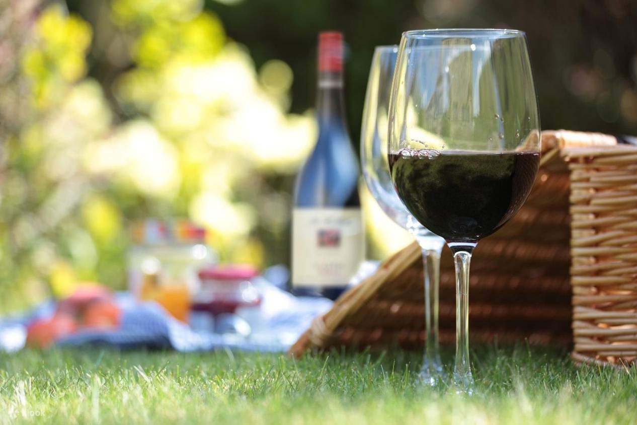 Experiencias de picnic de lujo con vinos St Hallet en el valle de ...