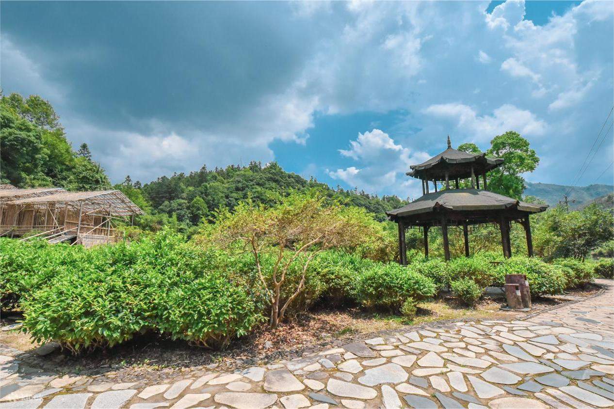 Private one-day tour from Jingdezhen to Yaoli Ancient Town, Wanghu ...