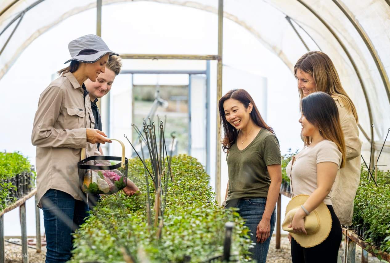 Jurlique Farm Tour at Adelaide Hills - Klook Hong Kong