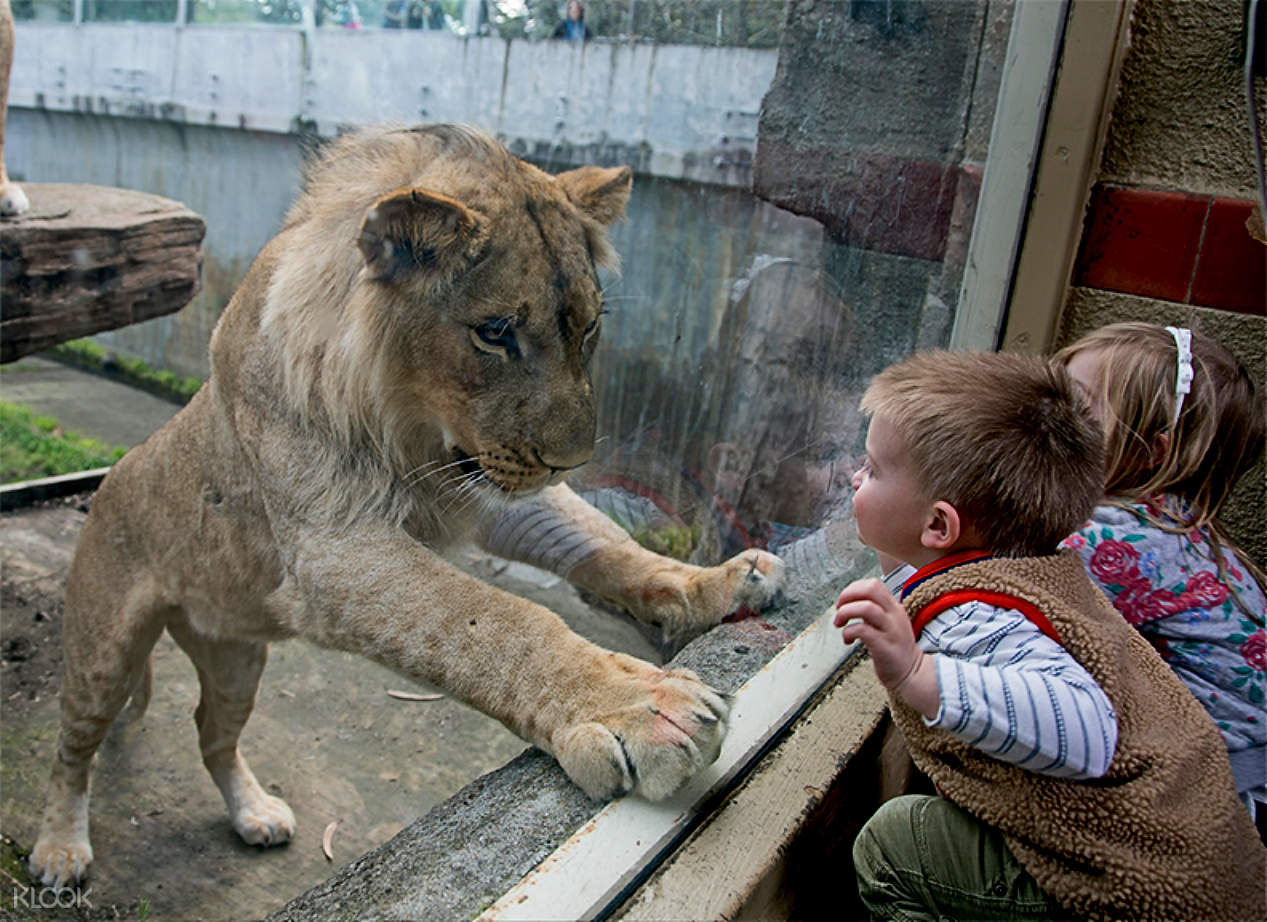 [SALE] San Francisco Zoo and Gardens Admission Ticket - Ticket KD