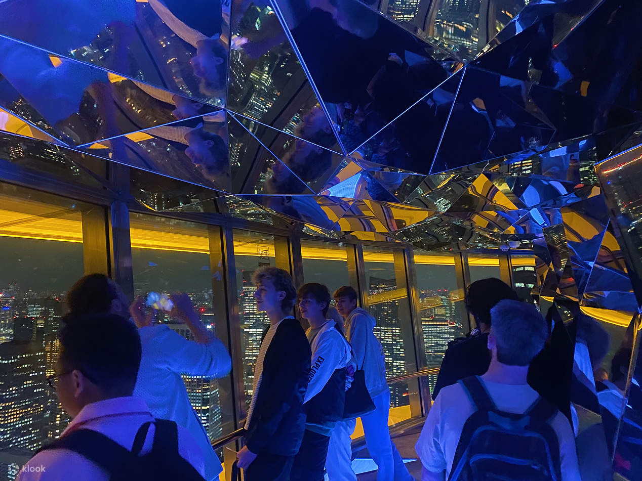Tokyo Night Electric Bike Tour with Tokyo Tower and Dolphin Show ...