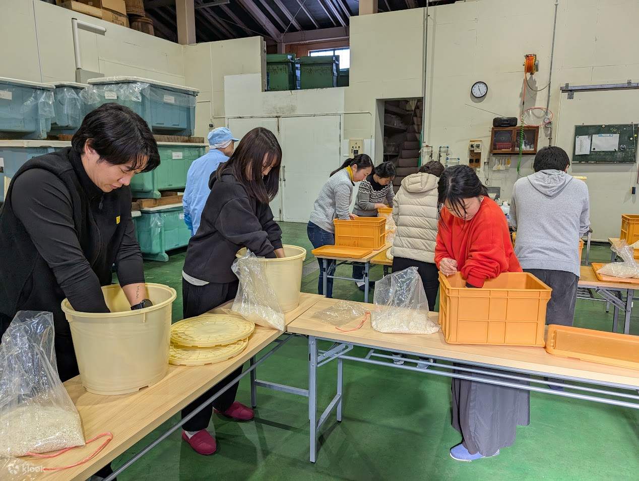 Half-Day Walking Tour: Make Your Own Miso at a 240-Year-Old Brewery ...