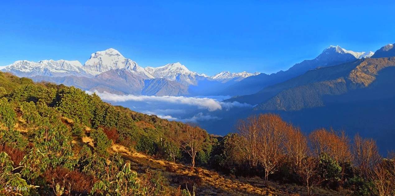 探索雄偉的安納布爾納峰地區：從博卡拉出發的 4 天 Poon Hill 健行 Klook 客路