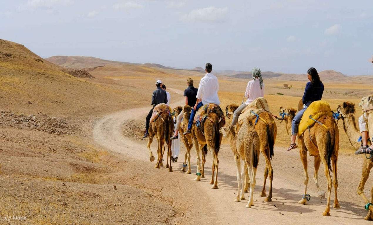 Agafay Desert Dinner and Camel Ride: Unforgettable Moroccan Adventure ...
