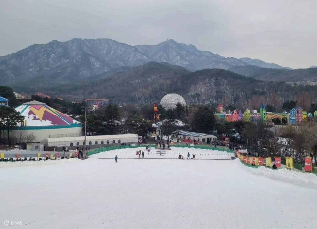 Seoul Land & Seoul Grand Park Round-Trip Shuttle + Admission Tickets ...