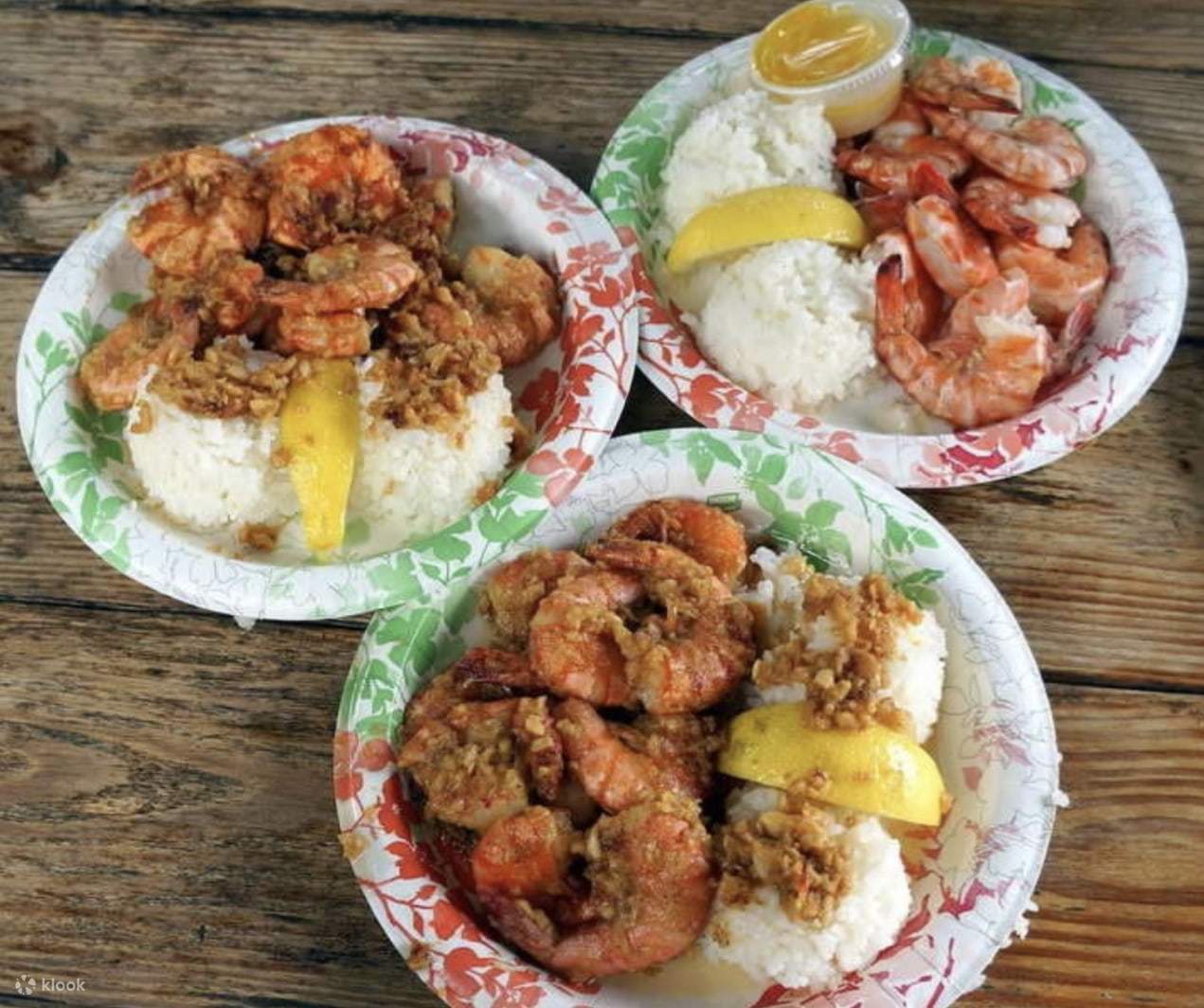 Tour of North Shore (70%) + Sightseeing (30%) in Hawaii - Klook Philippines