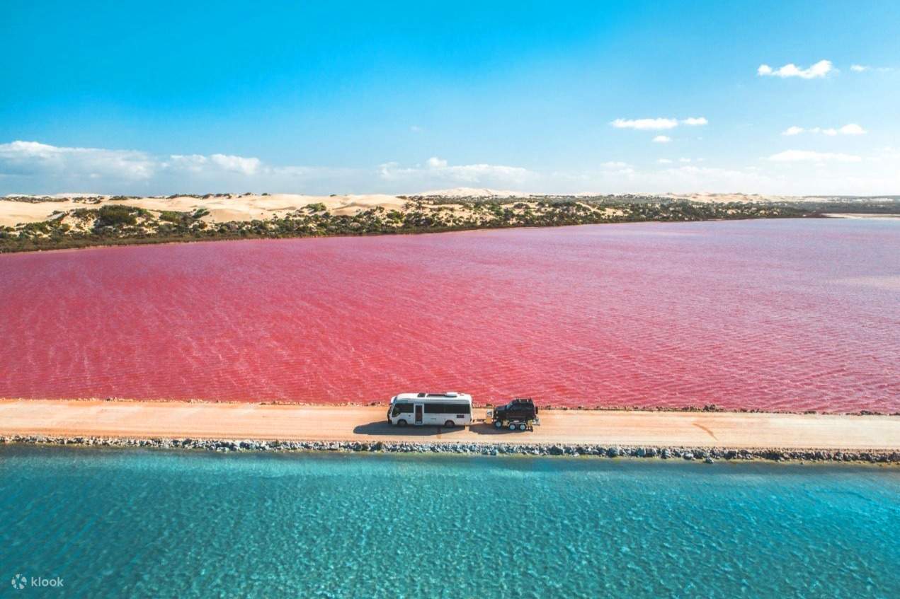 4D3N Pink Lake, Natures Window & Pinnacles Rottnest & Island Tour ...