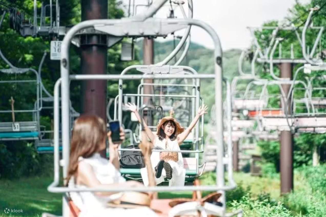Tambara Lavender Park Admission Ticket Online Reservation - Klook Malaysia