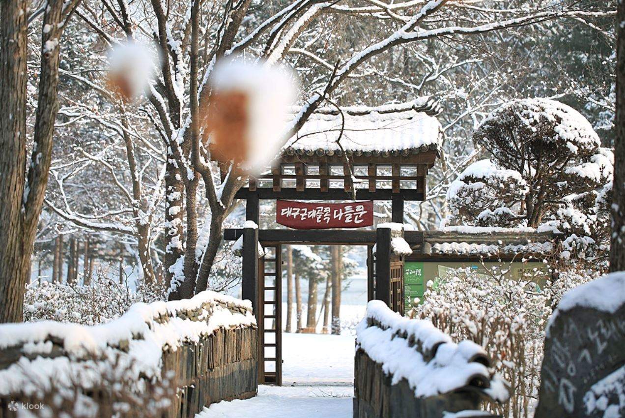 Nami Island and Garden of Morning Calm Lighting Festival Tour - Klook ...