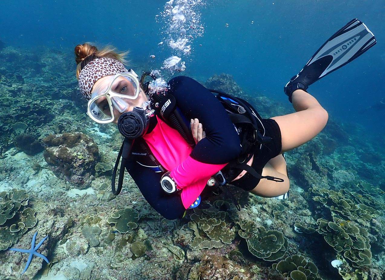 Become an Advanced Diver with PADI AOW Course on Phi Phi Island at Our ...