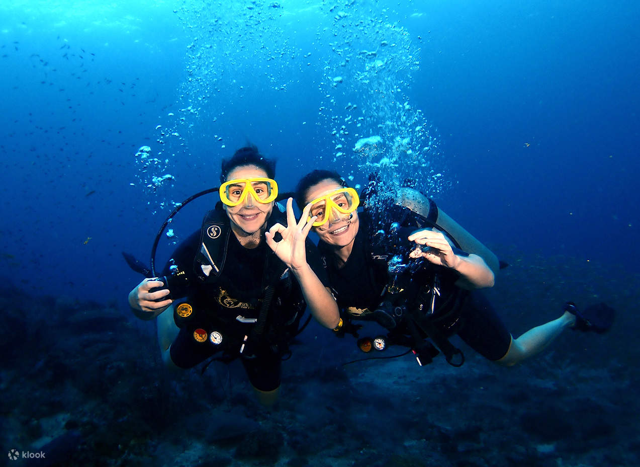Become an Advanced Diver with PADI AOW Course on Phi Phi Island at Our ...