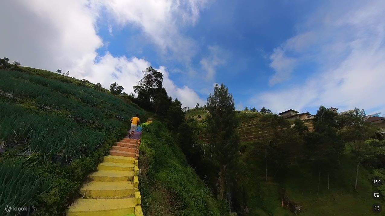 Borobudur Temple and Nepal Van Java Trekking Experience Tour from ...