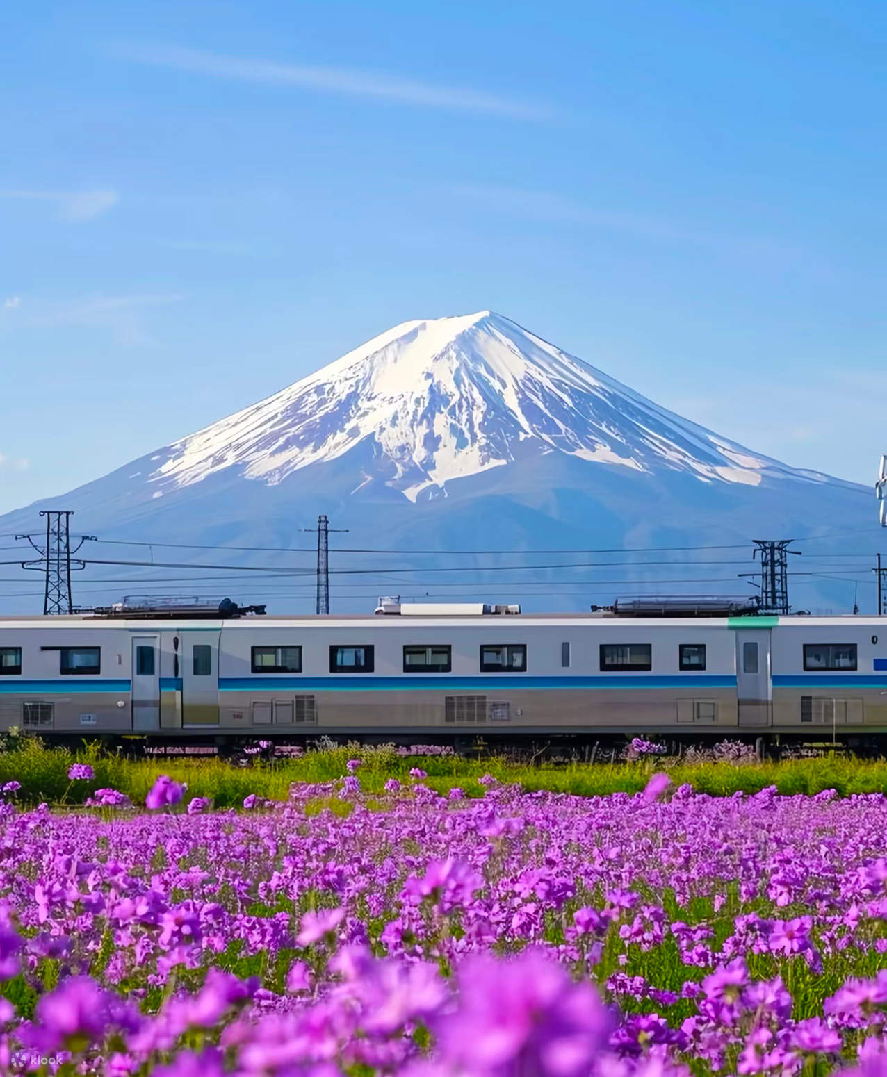 Mount Fuji Autumn Leaves Double Lake Train Experience, Kawaguchiko ...