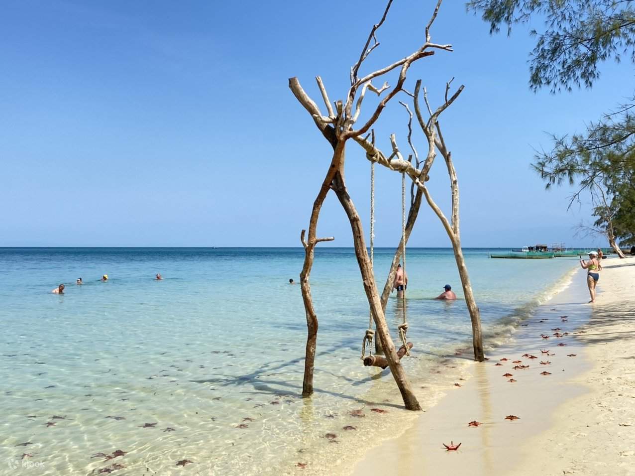 Cua Can River Kayaking Day Tour in Phu Quoc, Vietnam - Klook India