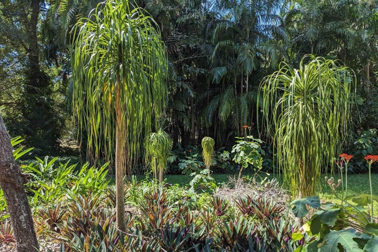Private 5-Hour Tropical Gardens Tour & Sightseeing - Klook Australia