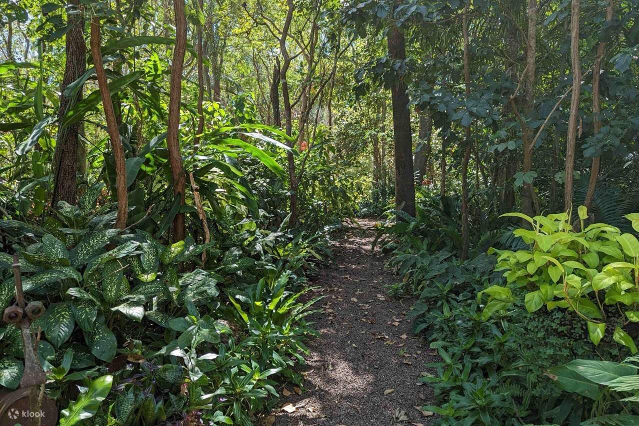 Private 5-Hour Tropical Gardens Tour & Sightseeing - Klook Philippines