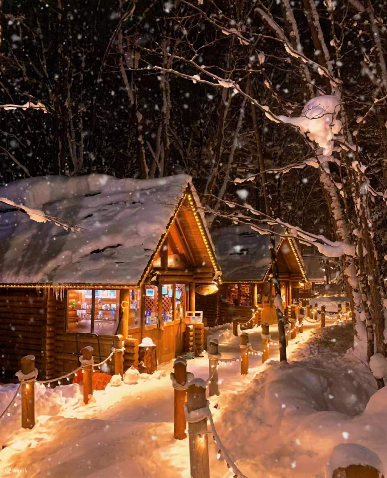Blue Pond Illumination & Ningle Terrace & Shikisai-no-oka & Christmas ...