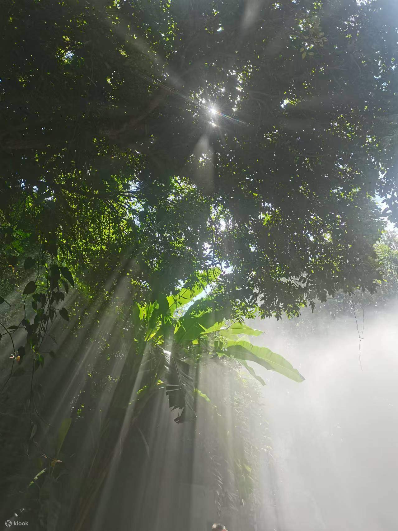 Xiamen Gulangyu Island Internet Celebrity Botanical Garden 1-Day Tour ...