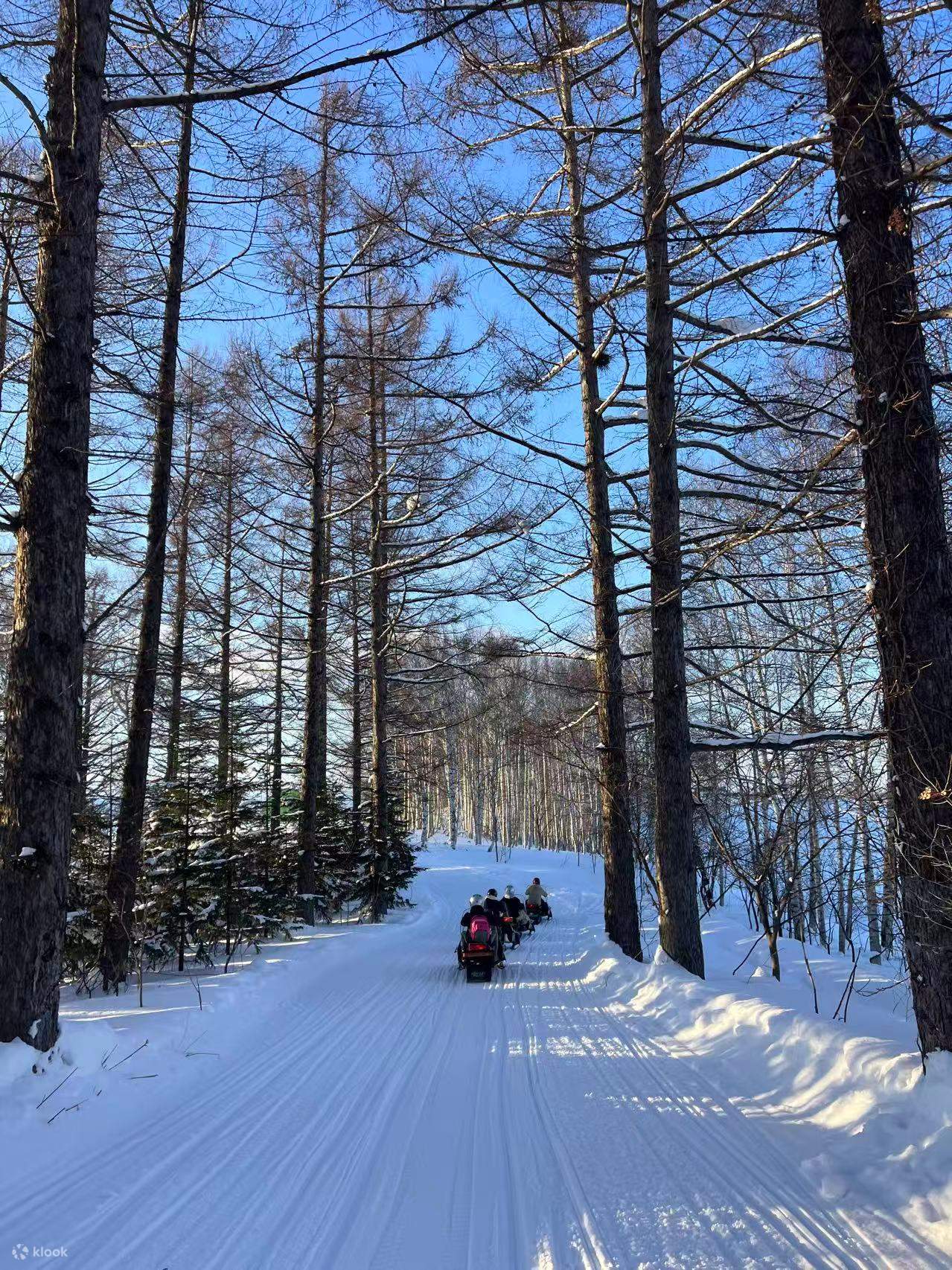 Shikisai-no-oka Farm & Ningle Terrace & Biei Christmas Tree & Shirahige ...