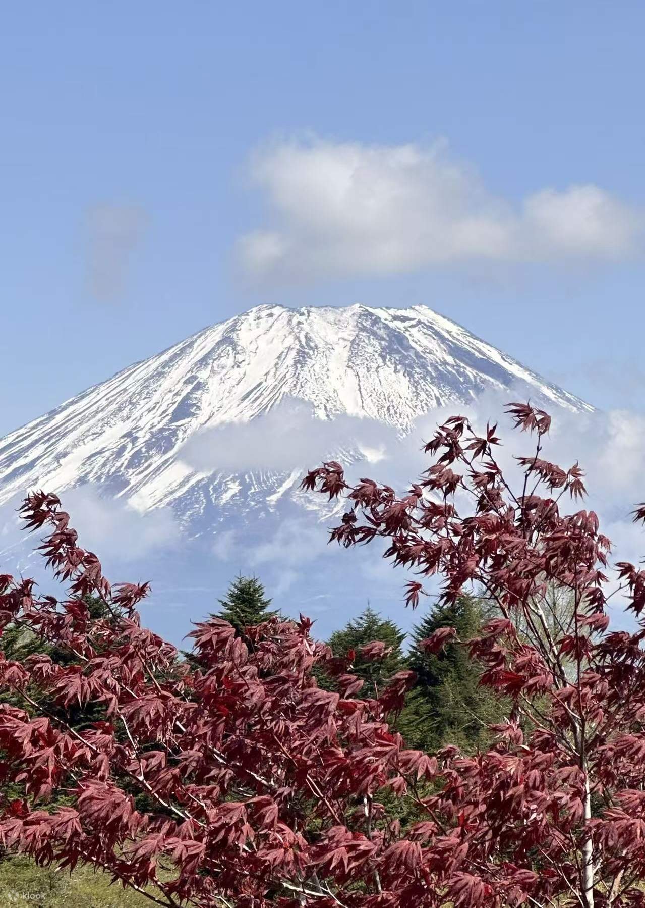 Tour di due giorni, Noleggio auto con autista per Mt.Fuji/Hakone/Atami ...