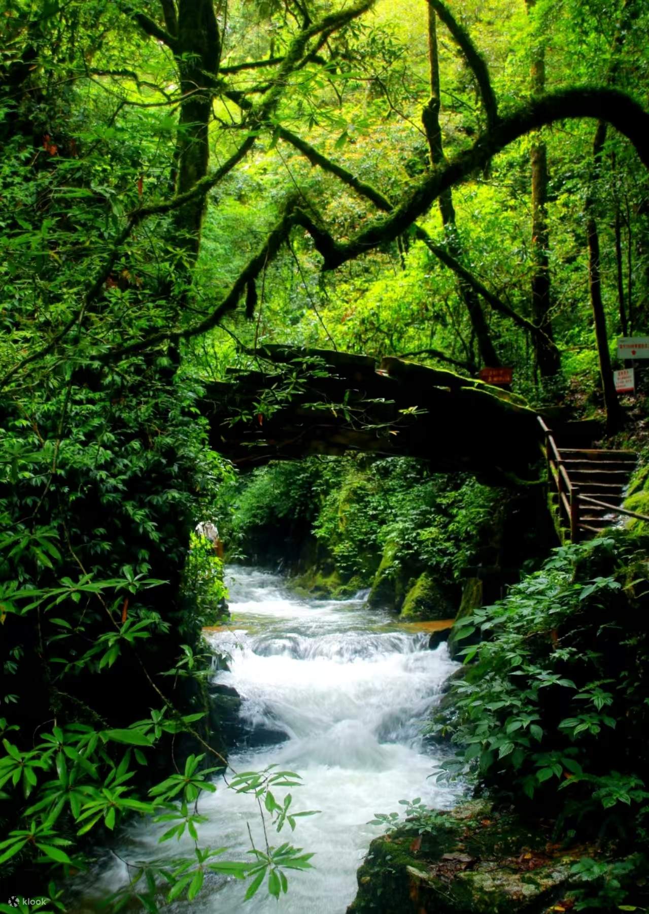 3 days and 2 nights in Ailao Mountain, Kunming, Yunnan (Magnificent ...