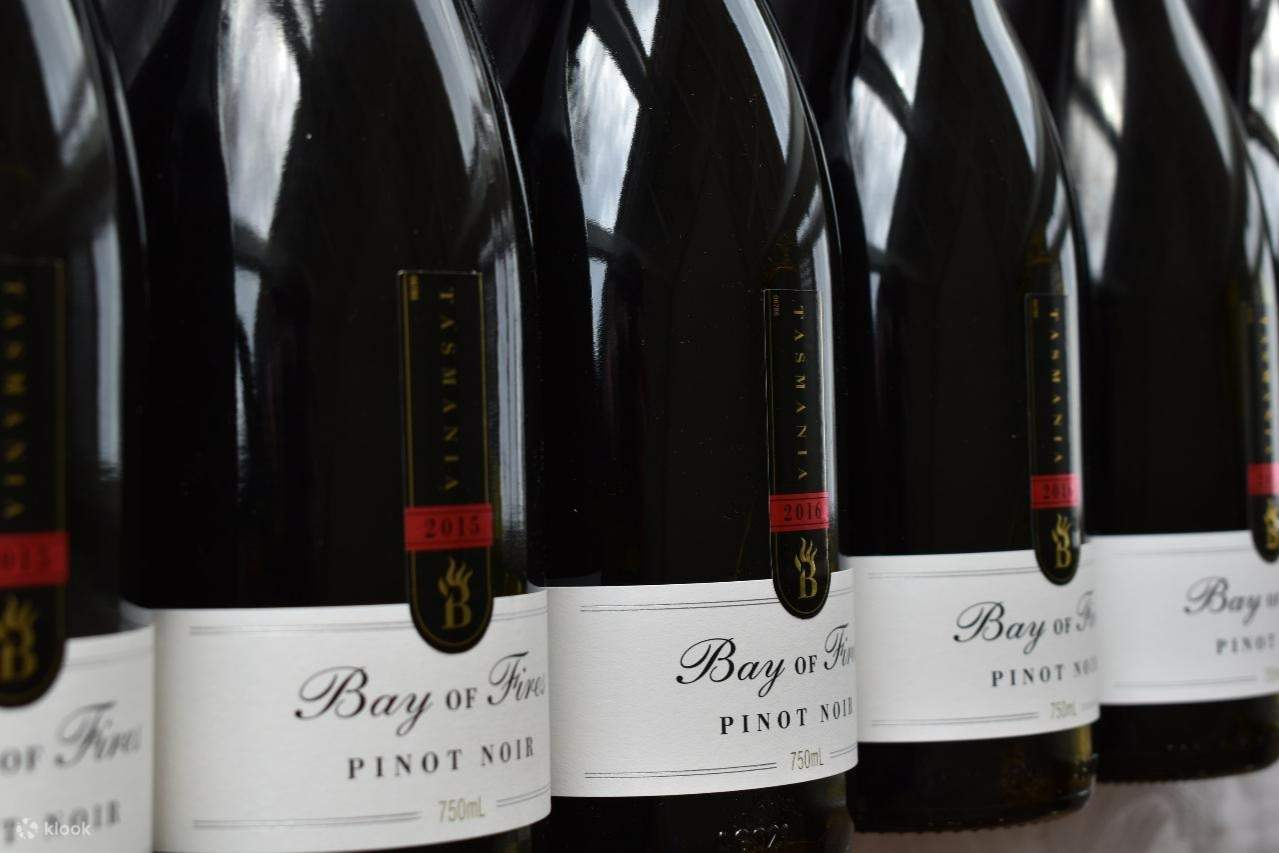 Vertical Pinot Tasting at Bay of Fires Winery - Klook
