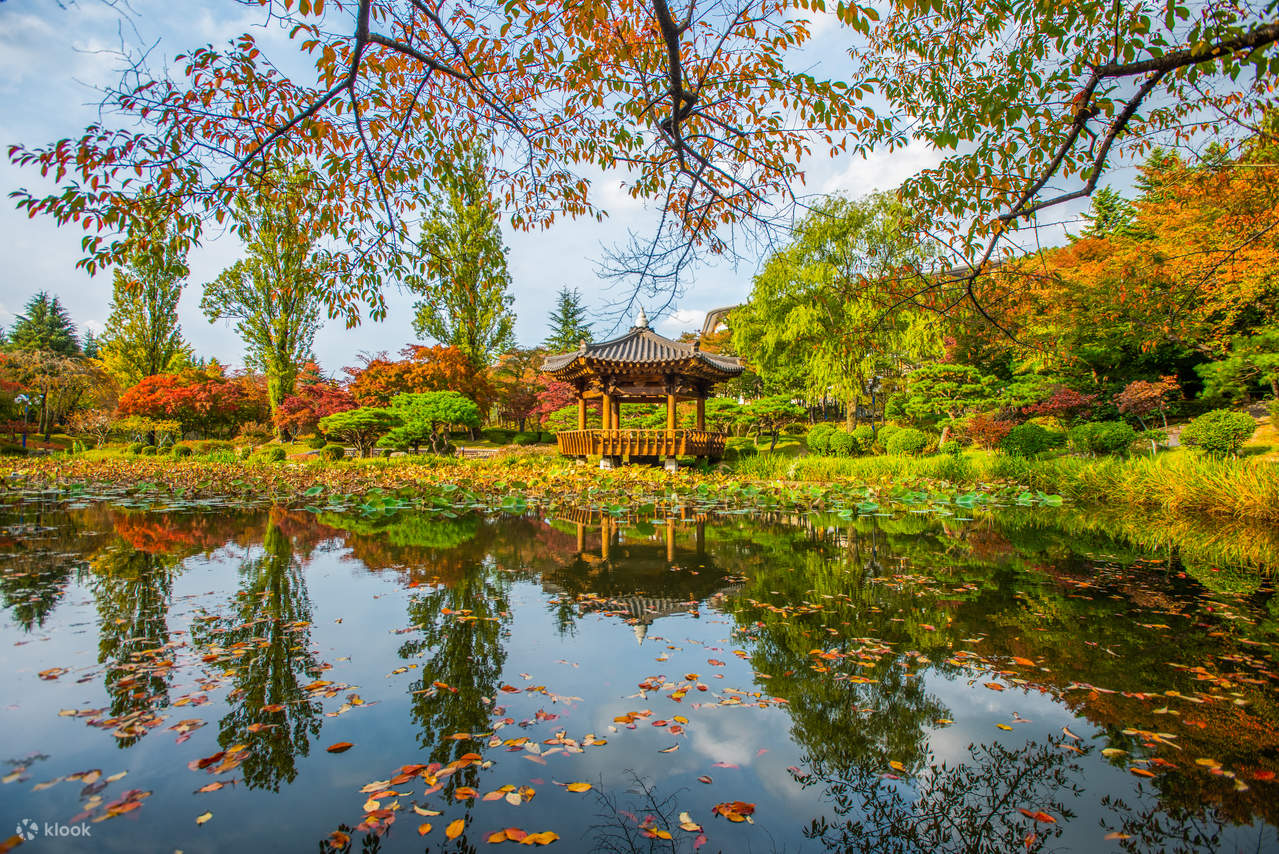 Gyeongju Autumn Foliage Day Tour from Busan - Klook India